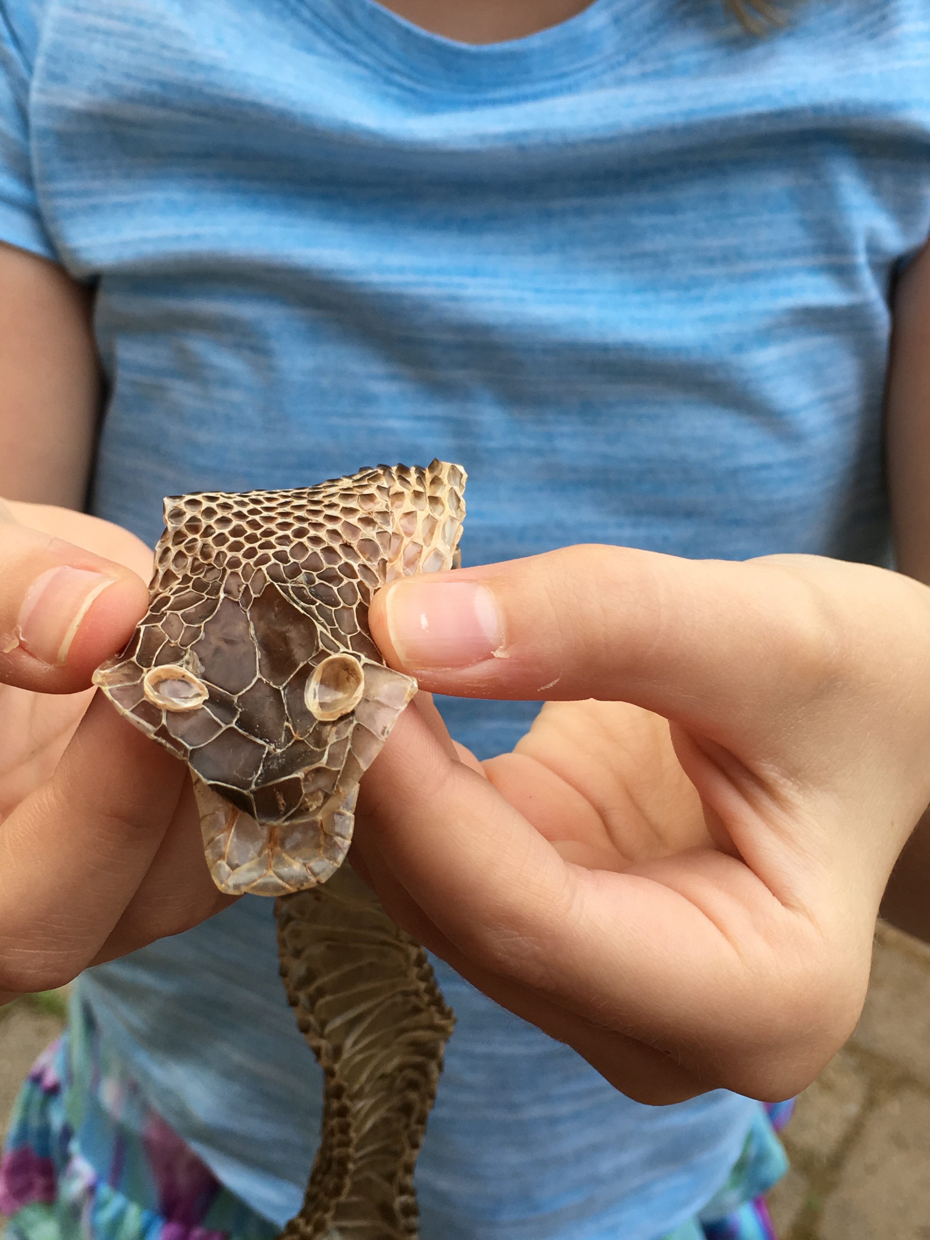 Snake Scream – Mint 2 Bee